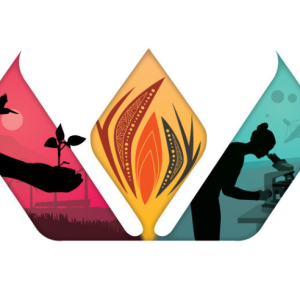 Newsroom - WesCEF - an industry leader in chemicals, energy and fertilisers